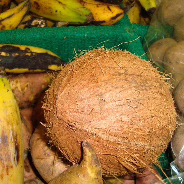 Cheap Flights to Guyana | Caribbean Airlines